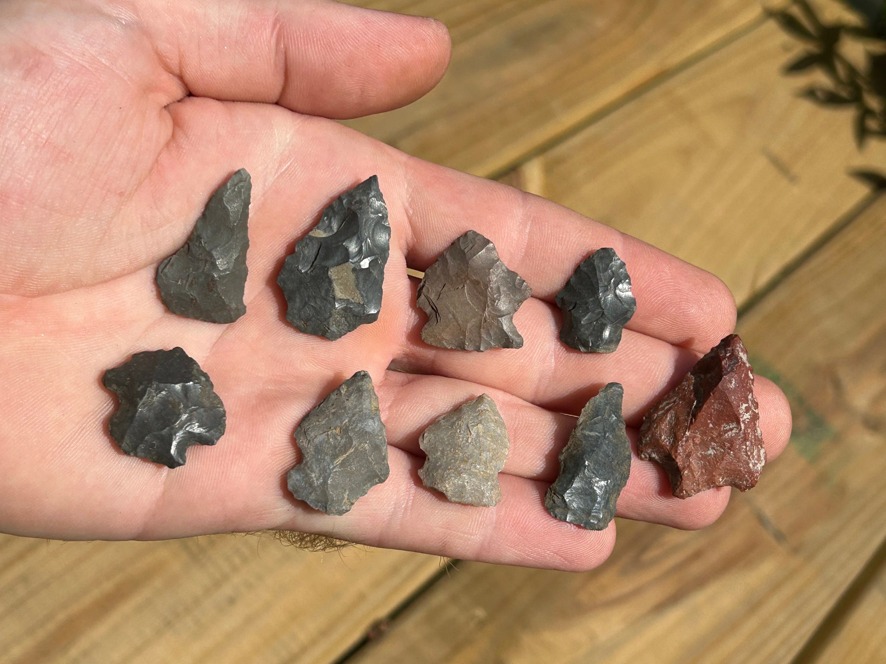 9 Kentucky Arrowheads W/case - Etsy