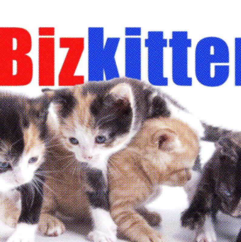 LIMP BIZKIT Band KITTENS Shirt Fred Durst Parody Kitty Cat Nu Metal ...