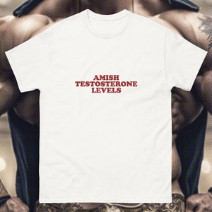 AMISH TESTOSTERONE LEVELS Beast Mode Workout Funny Gym Shirt - Etsy