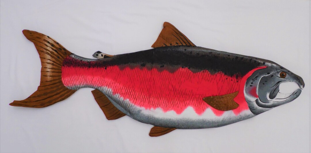 Salmon Shaped 20 X 54 Inch Unstuffed Pillow Shell - Etsy