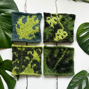 July Colorwork Knitting Patterns - Monstera Deliciosa, Cheese Plant ...