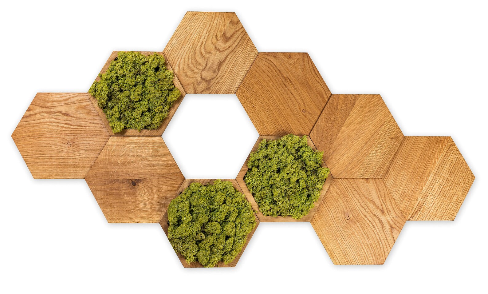 3D Composition Moss Real Moss Decor Plant Wall Art Green Moss Wooden ...