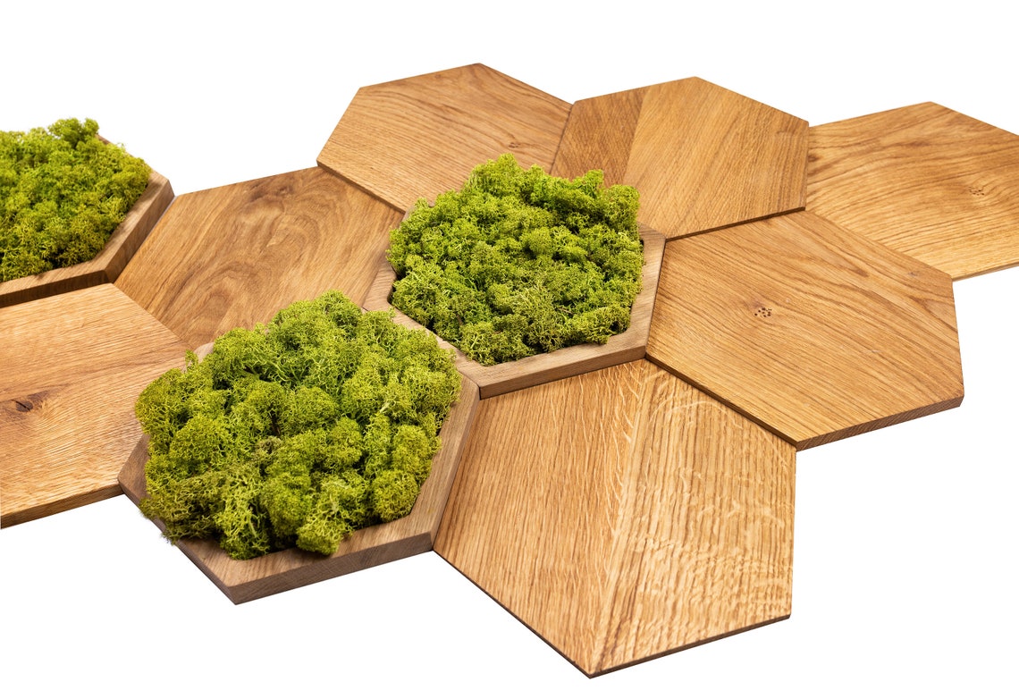 3D Composition Moss Real Moss Decor Plant Wall Art Green Moss Wooden ...