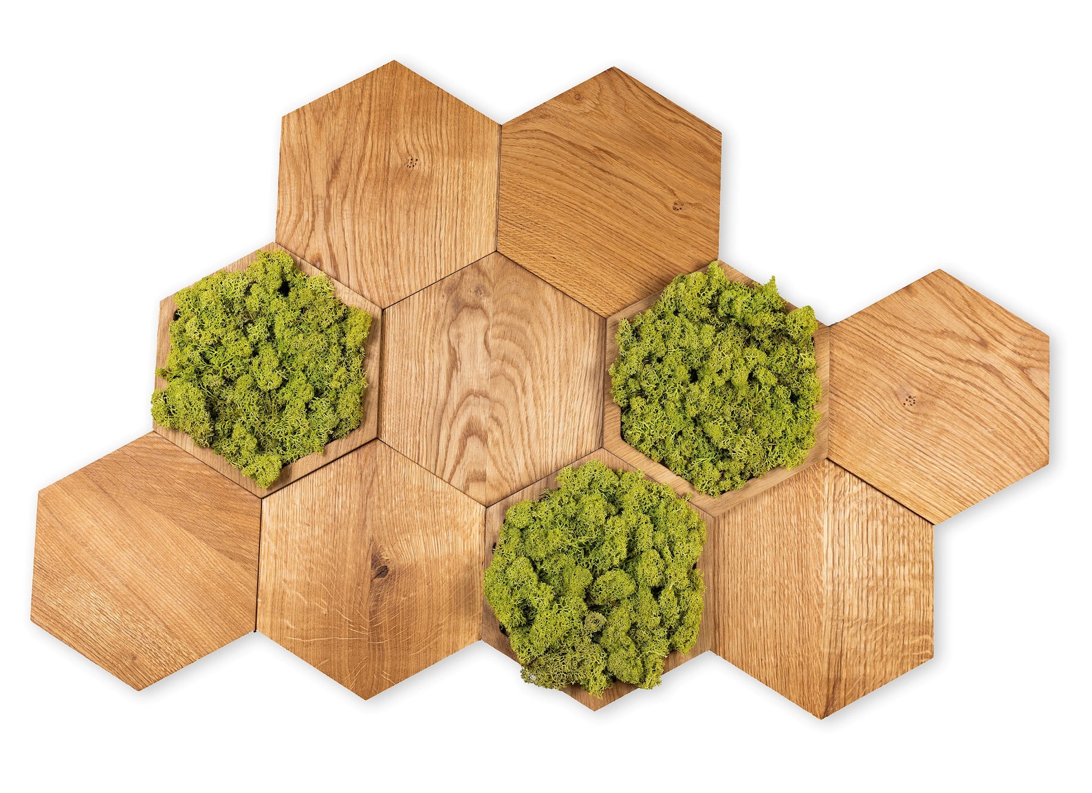 3D Composition Moss Real Moss Decor Plant Wall Art Green Moss Wooden ...