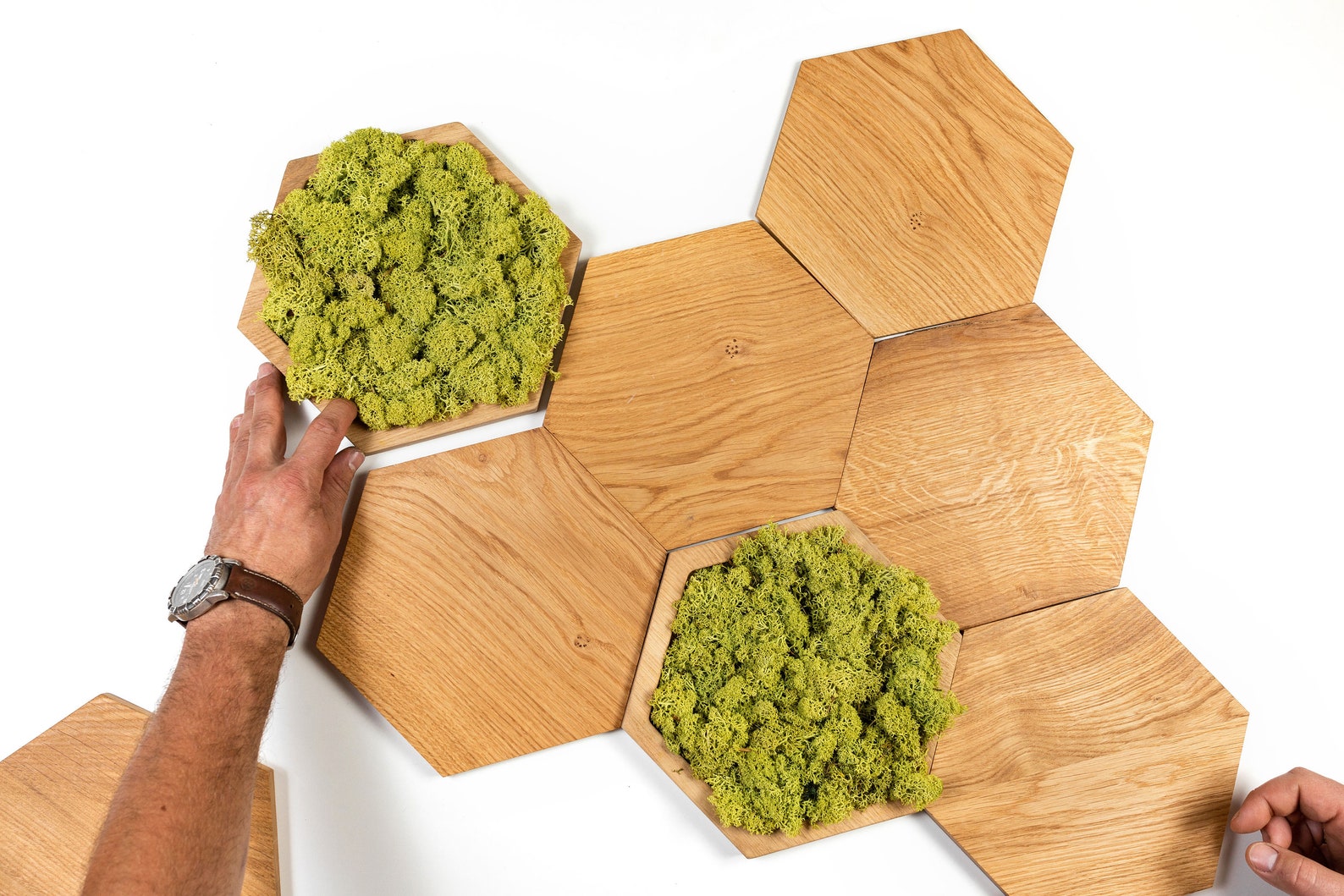 3D Composition Moss Real Moss Decor Plant Wall Art Green Moss Wooden ...