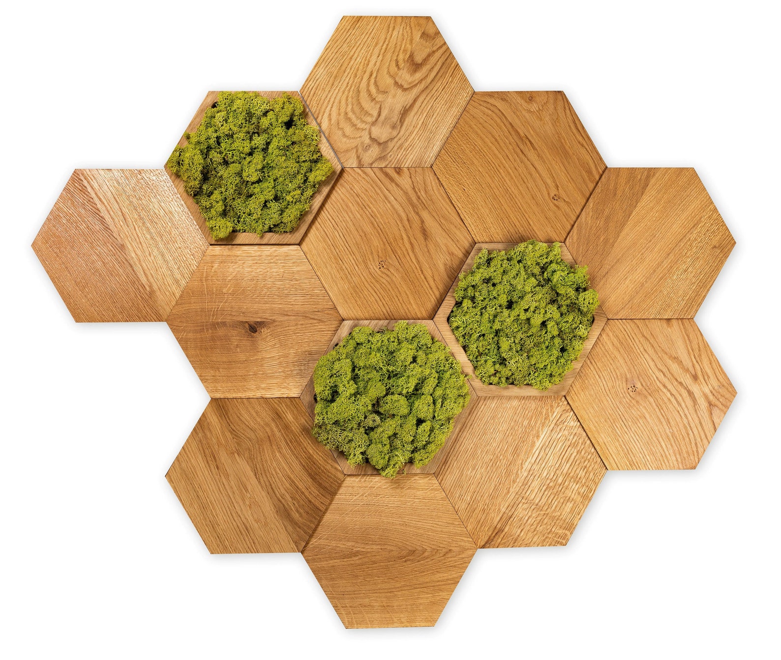 3D Composition Moss Real Moss Decor Plant Wall Art Green Moss Wooden ...