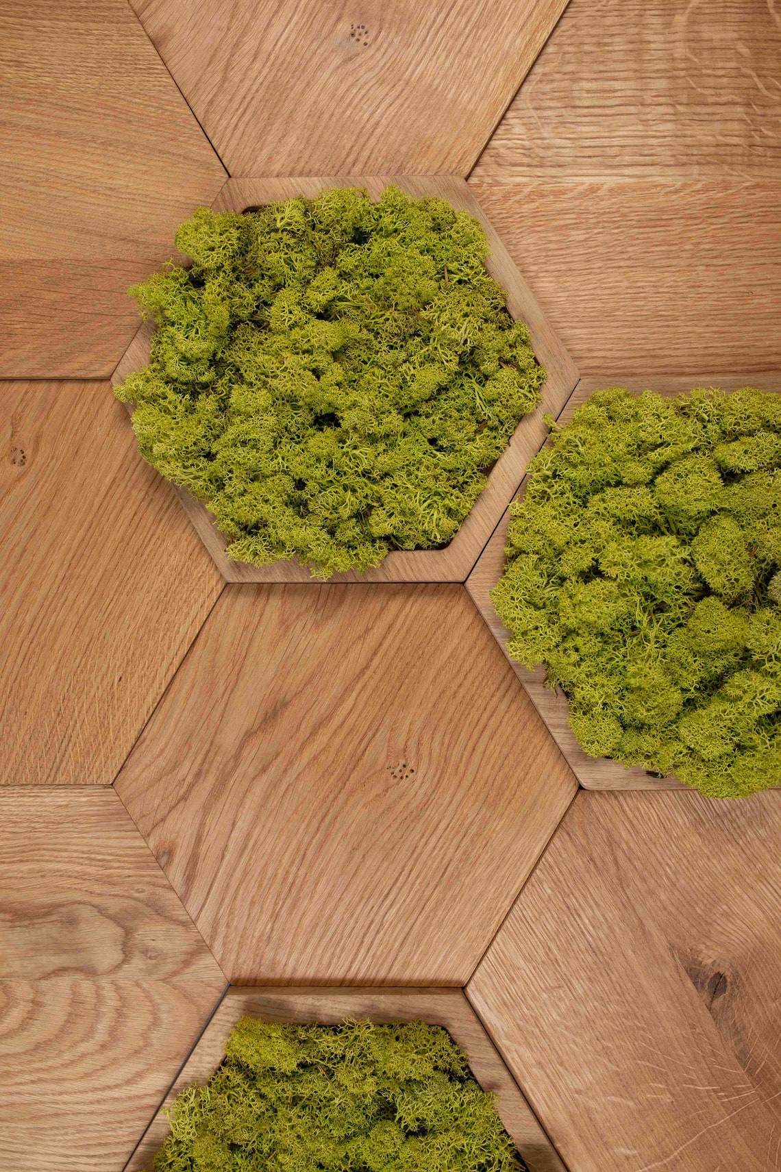 3D Composition Moss Real Moss Decor Plant Wall Art Green Moss | Etsy