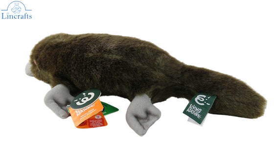 Plush Soft Toy Duck Billed Platypus Collectable Teddy Wild Animal. Ideal Gift for Children With Educational Tag. Living Nature. Etsy UK