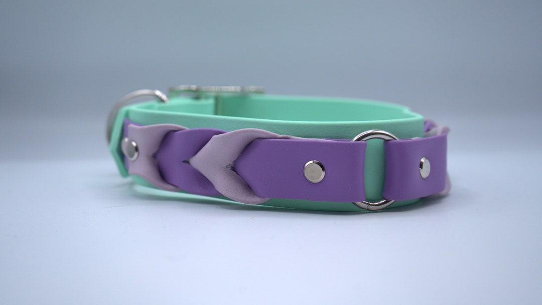 16 18 Inches / 1.5 Seafoam 1 Amethyst Lavender Biothane Dog Collar ...