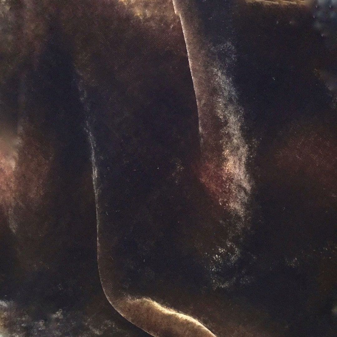 Twig Hand Dyed Velvet - Etsy