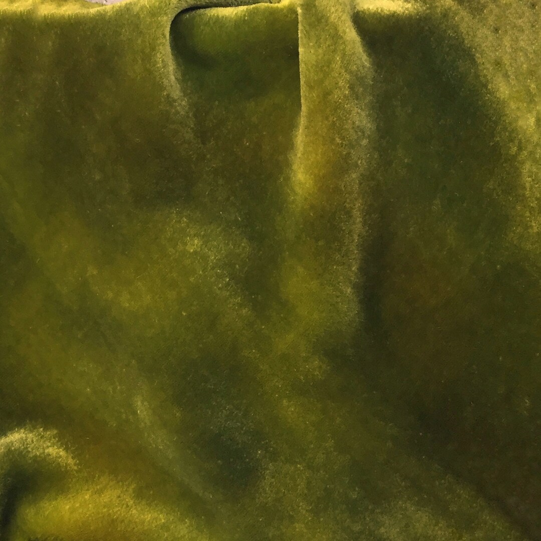 Green Algae Hand Dyed Velvet - Etsy