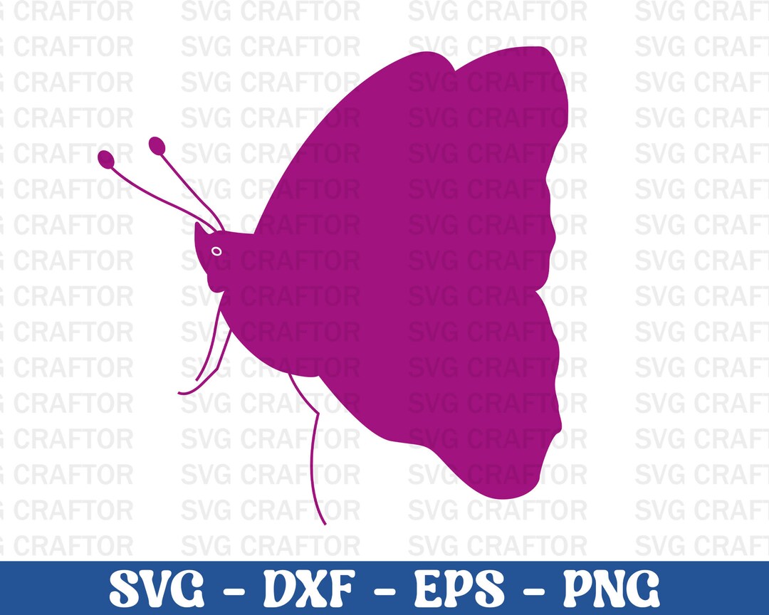 Butterfly SVG, Cricut, Silhouette, Butterfly, DXF, Png, Jpg, Pdf, Cut ...