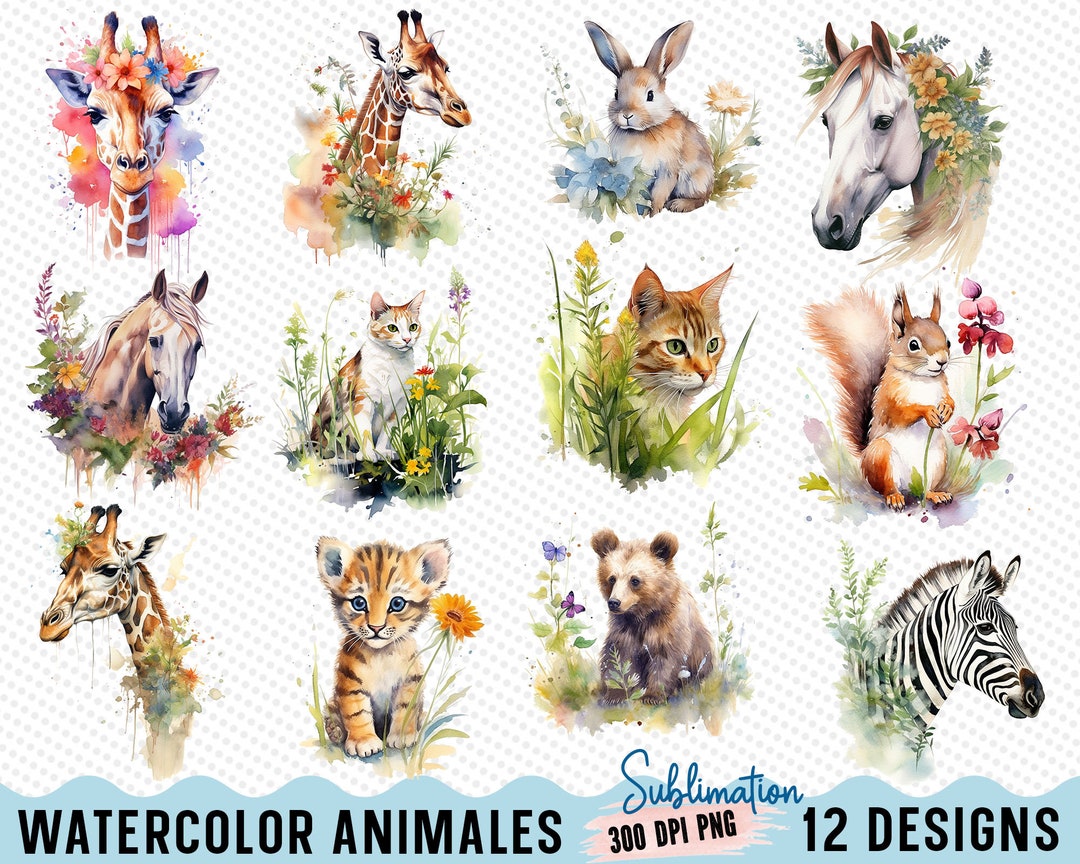 Watercolor Animals Png, Watercolor Floral Clipart, Watercolour Clipart ...