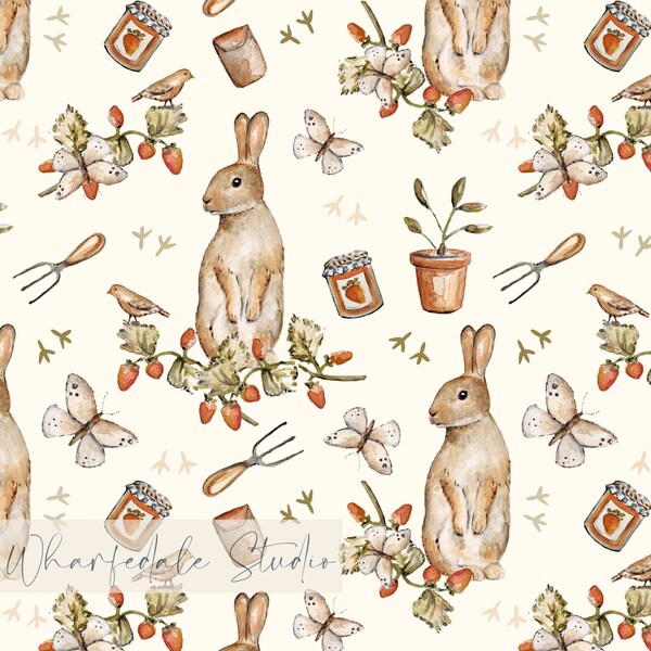 Peter Rabbit Drawing - Etsy