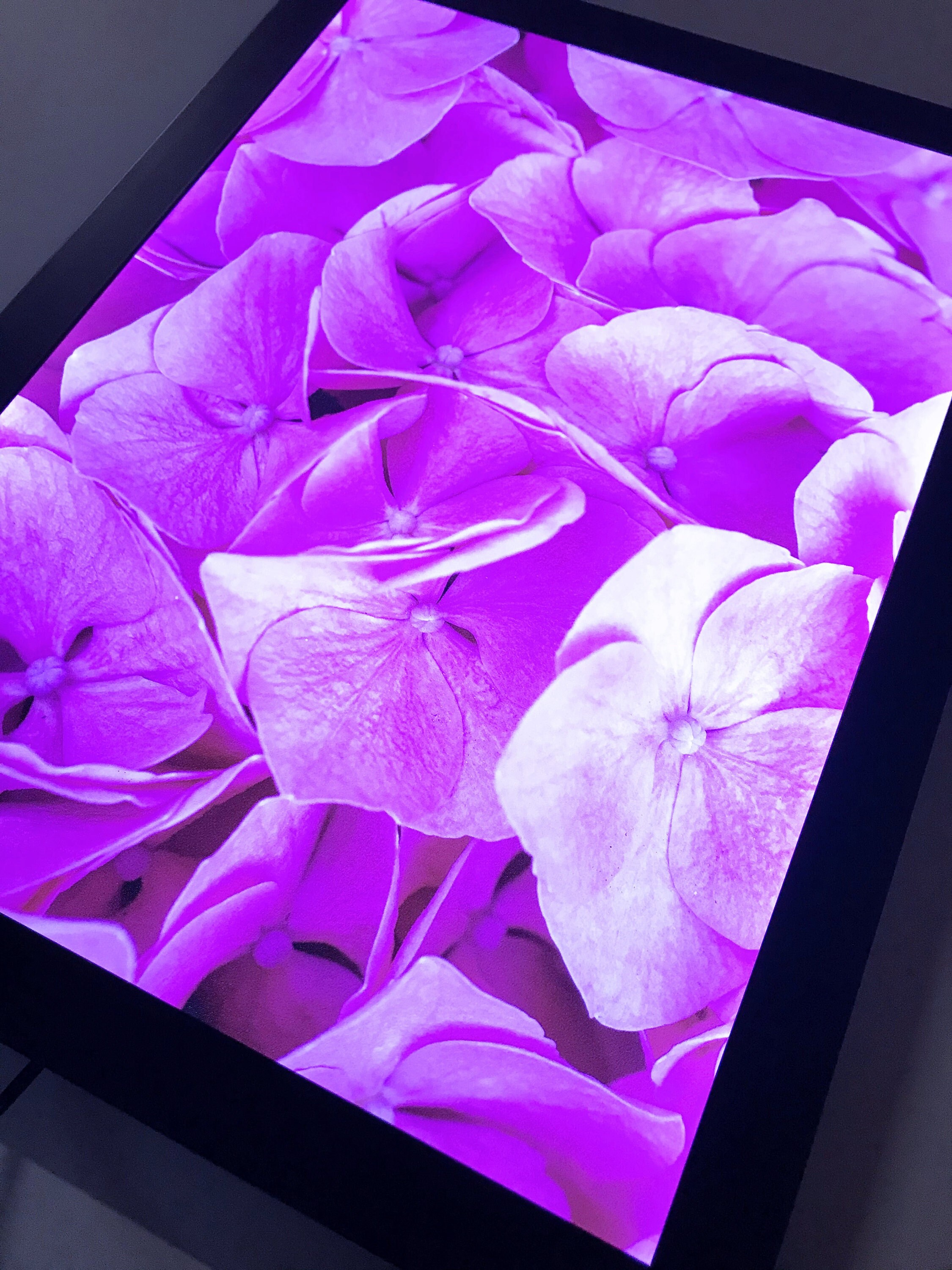 LED Light up Avatar: the Way of Water Movie Poster Backlit Film Display ...