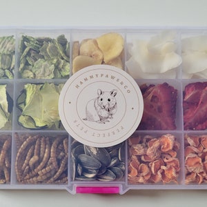 Hamster Treat Boxes - Etsy