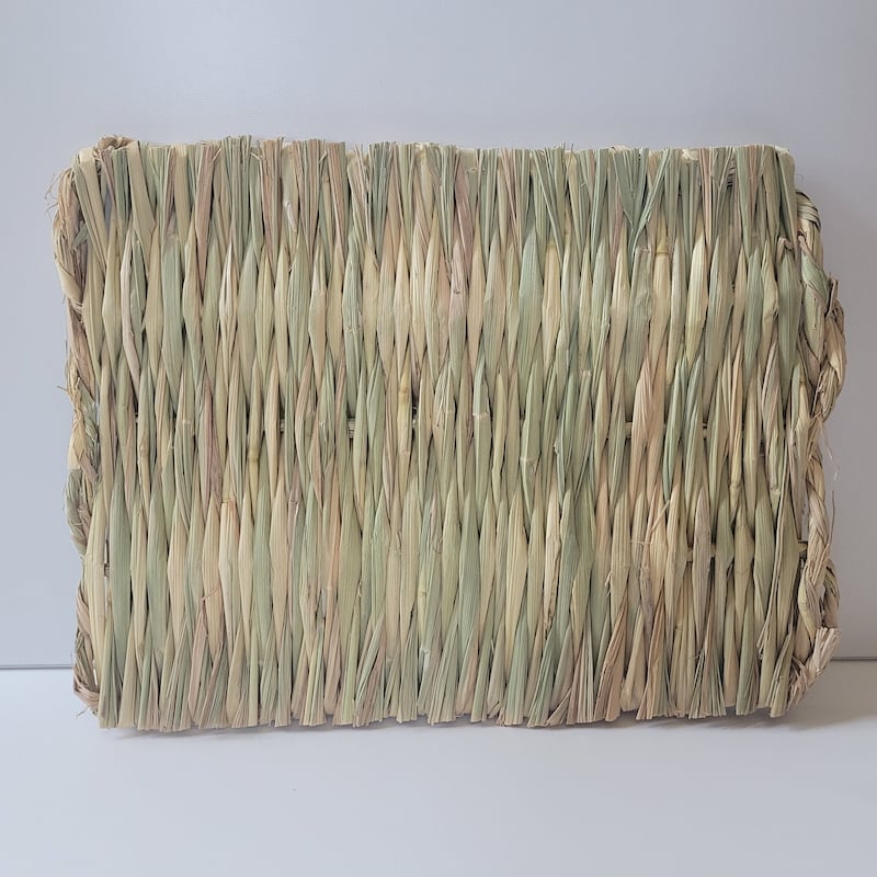 Place Mats Rabbits - Etsy