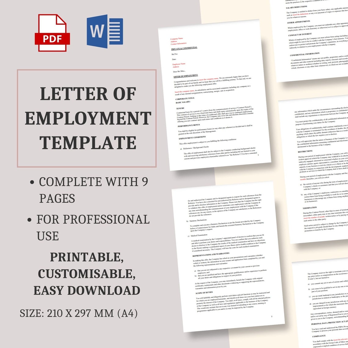 Letter of Employment Template for Professional Use in PDF and Word ...