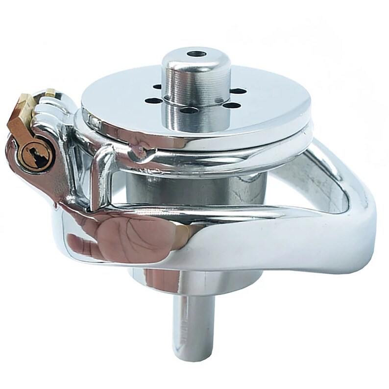 Inverted Plugged Cylinder Chastity Cage for Couple Stainless - Etsy UK