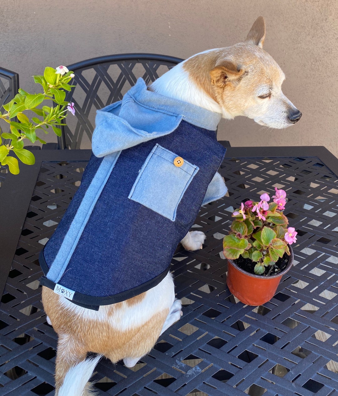 Dog Jacket Warm Jean or Denim Style Clothing - Etsy