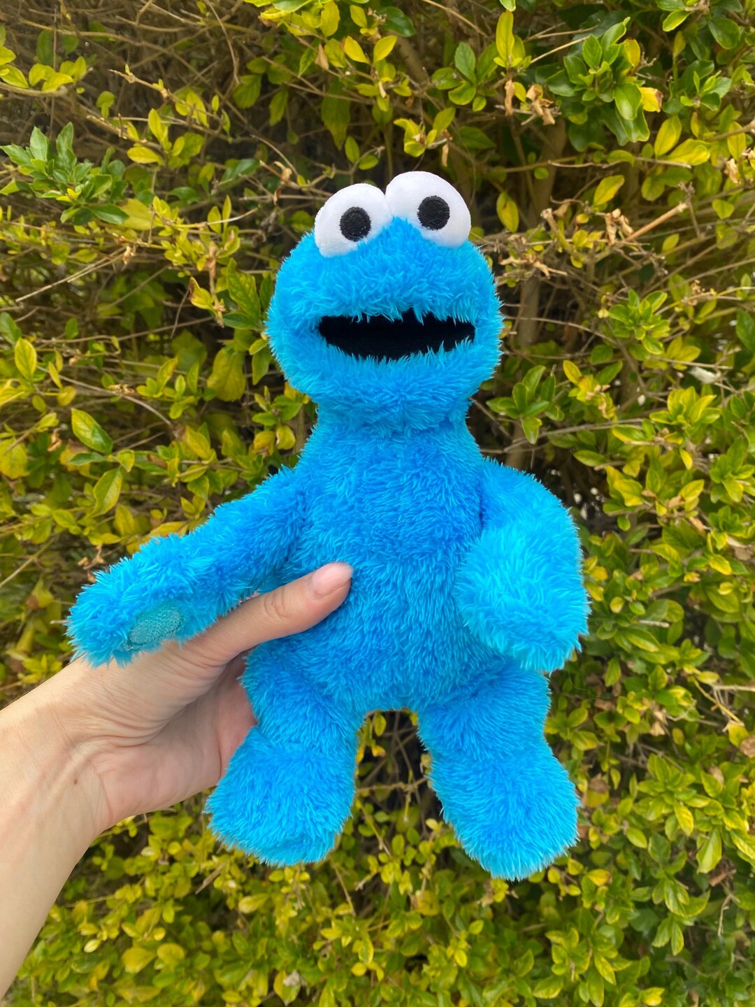 Small Cookie Monster Muppet Plush Beanbag Sesame Street, Jim Henson’s ...