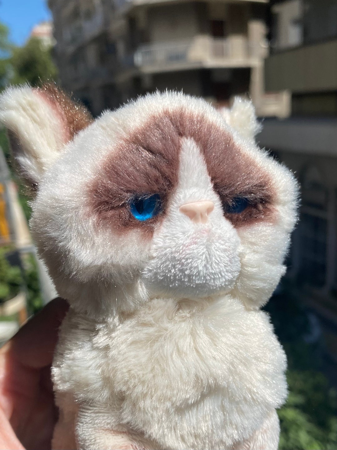 Grumpy Cat Plush Soft Toy Gund Super Cute Creamy & Beige Cat - Etsy