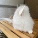 White Furby Yeti 2012 WORKING Talking Interactive Collectable Toy Pet ...