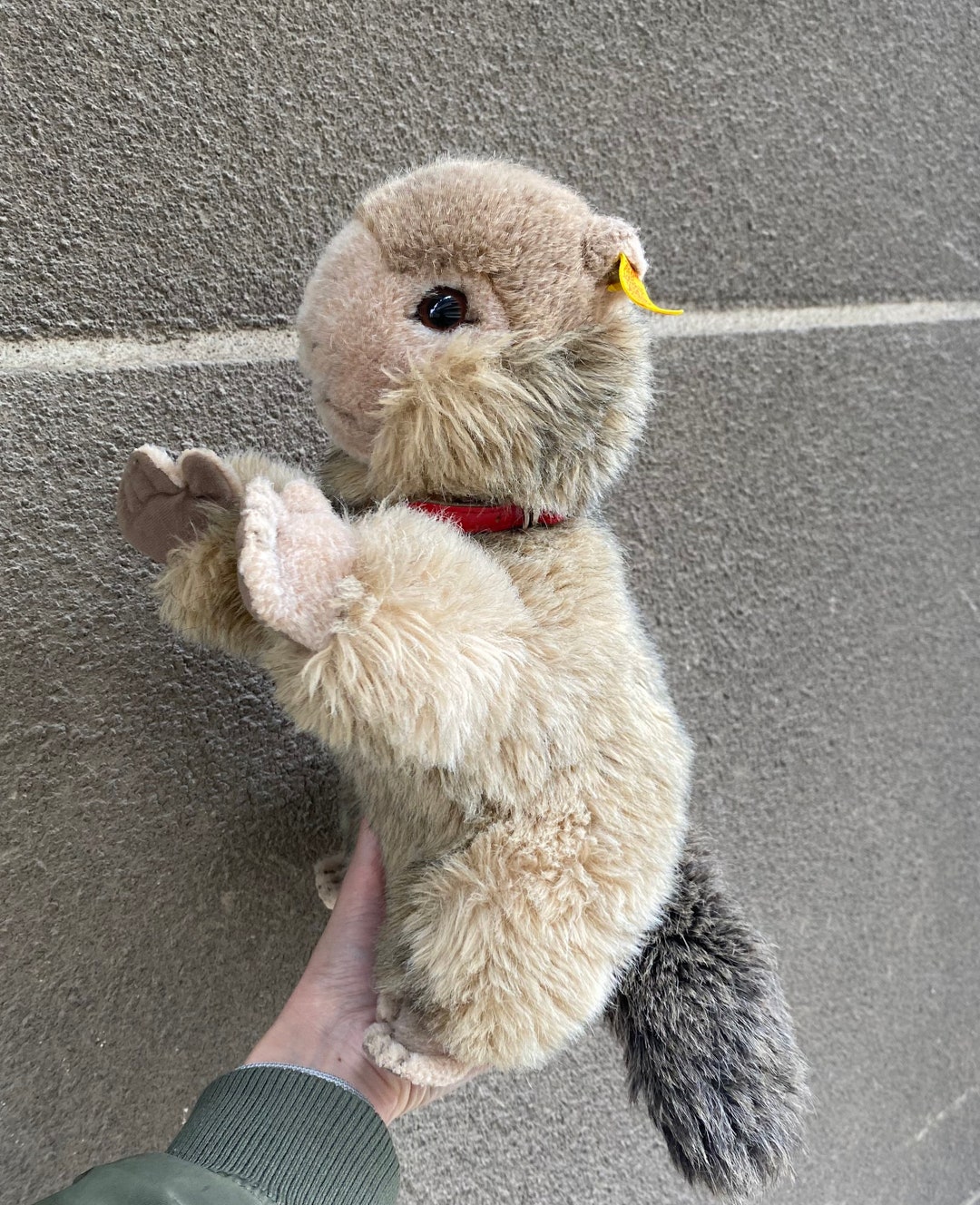 Vintage Beige & Grey Steiff Marmot 1970-80s, Old Collectable Toy With ...