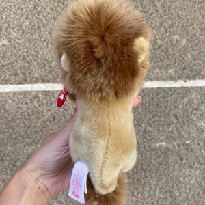 Small Cute Lion Plush Toy by Trudi, Realistic Stuffed Wild Animals for ...