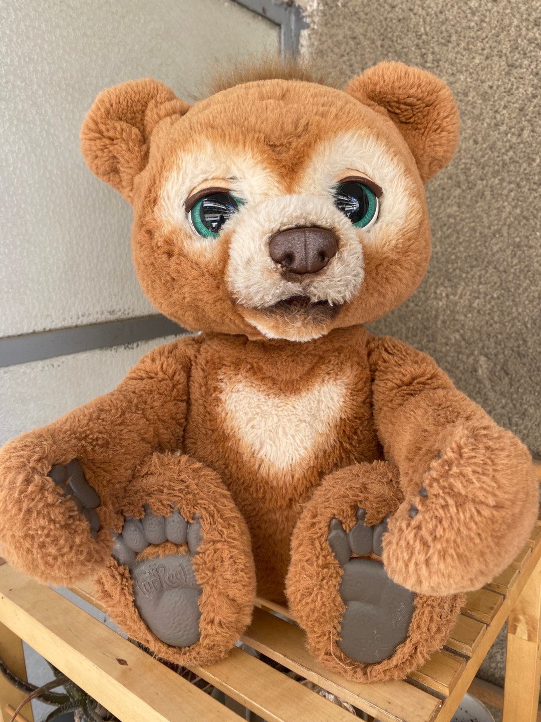 Cute & Big Interactive Bear Cubby Furreal Friends, Beautiful Rare Brown Furry Baby Bear in ...