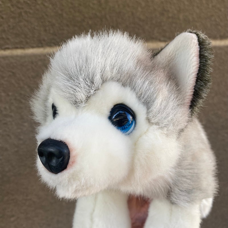 Husky Plush - Etsy