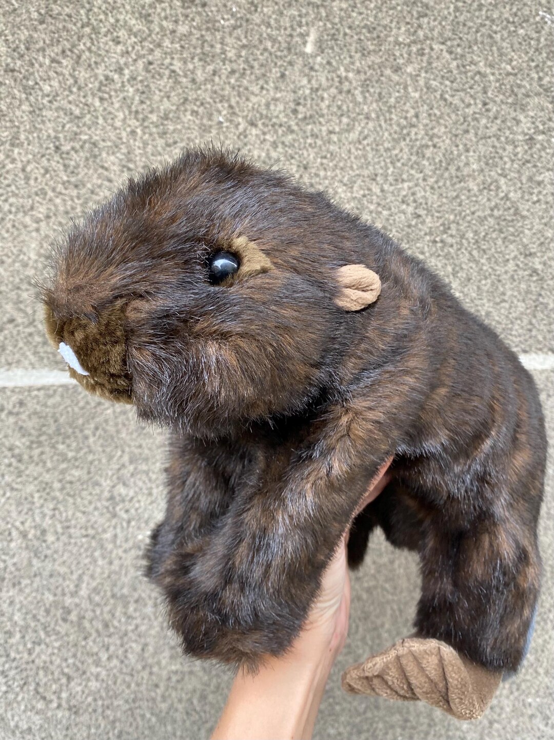 Realistic Beaver Plush: Stuffed Animal Toy 31cm/12,2in - Etsy