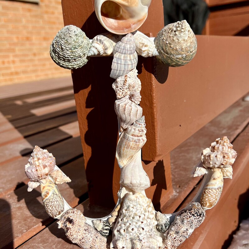 Shell Anchor - Etsy