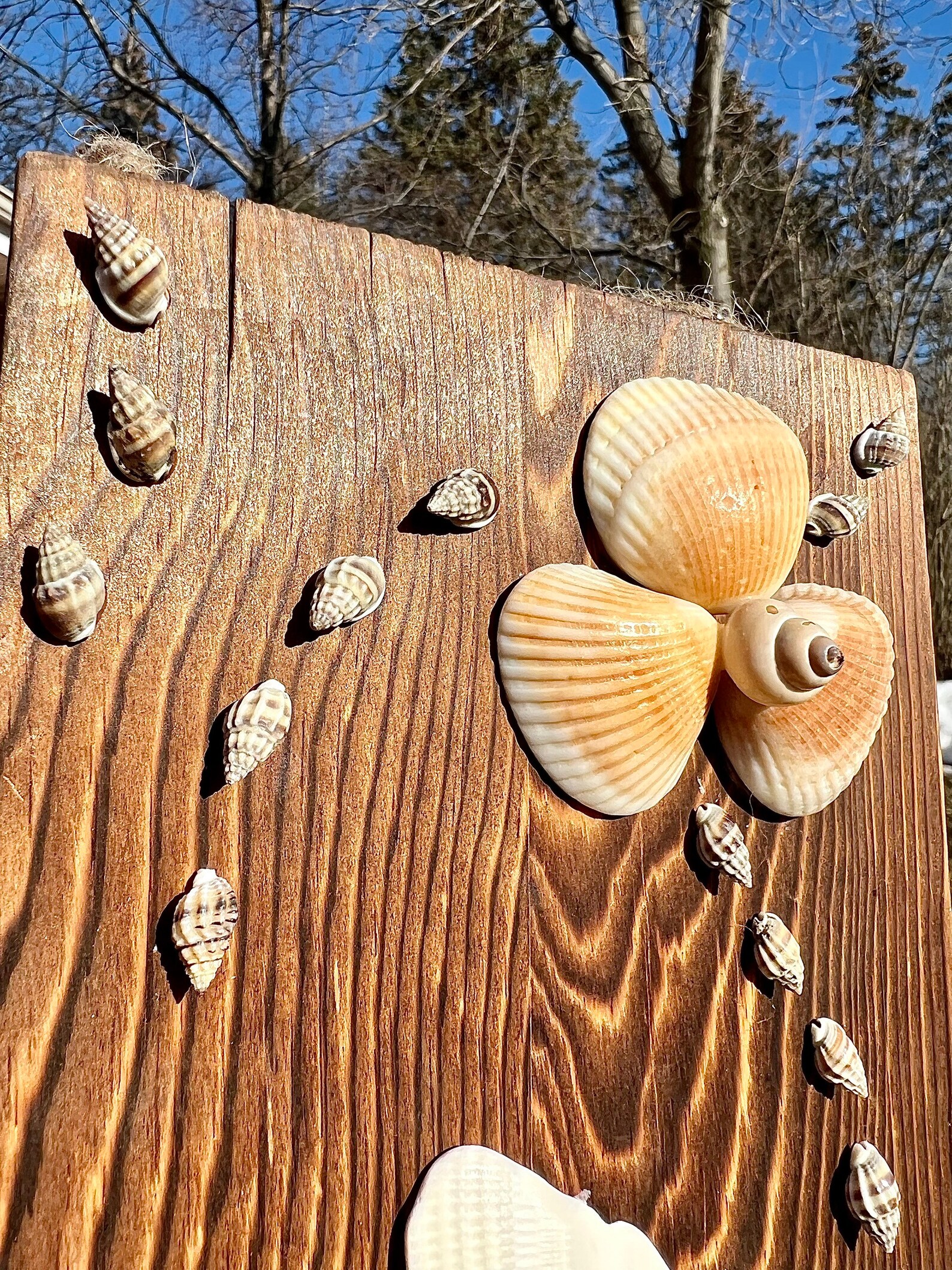 Shell Butterfly and Shell Flower Wall Hang - Etsy
