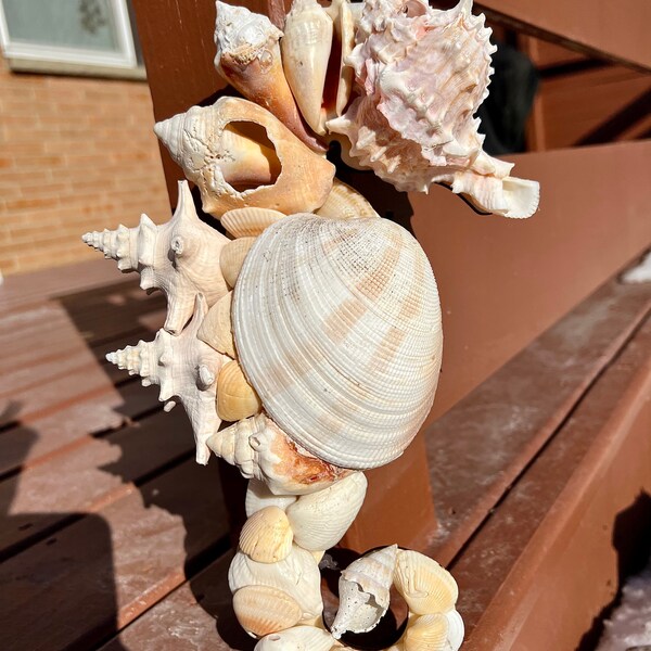 Seahorse Wall Decor - Etsy