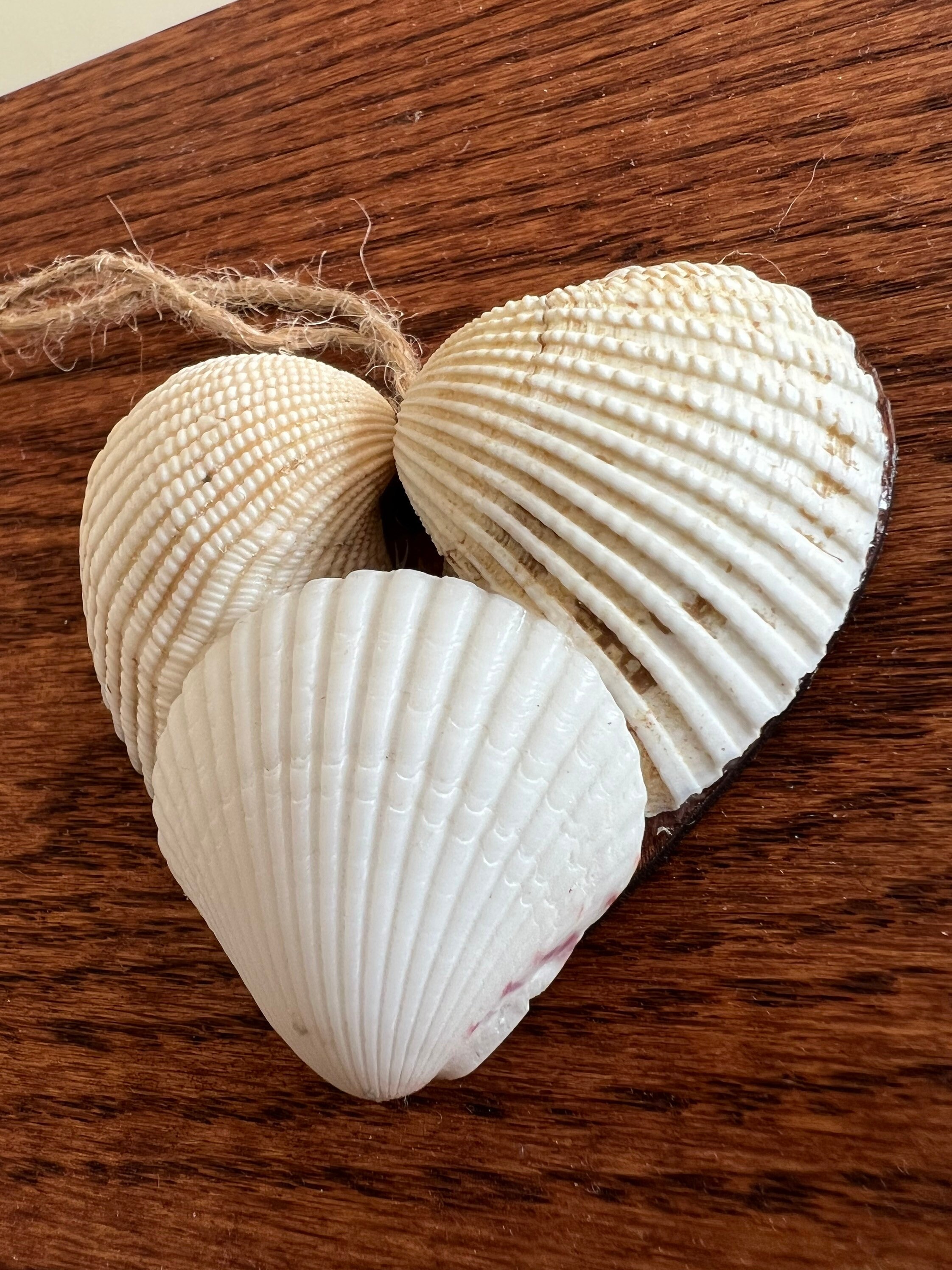 Perfectly Paired, I Shell Heart You Forever - Etsy