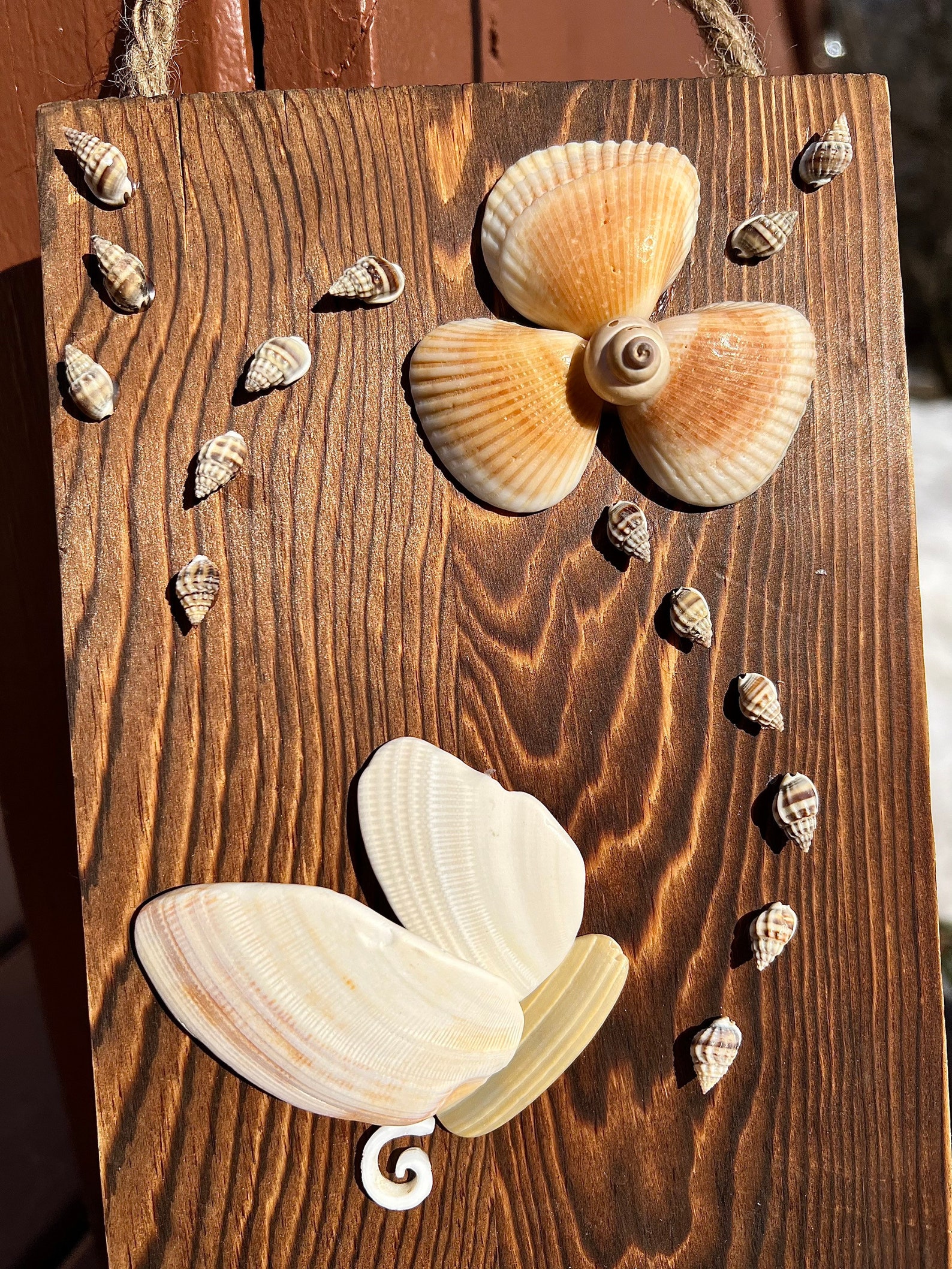 Shell Butterfly and Shell Flower Wall Hang - Etsy