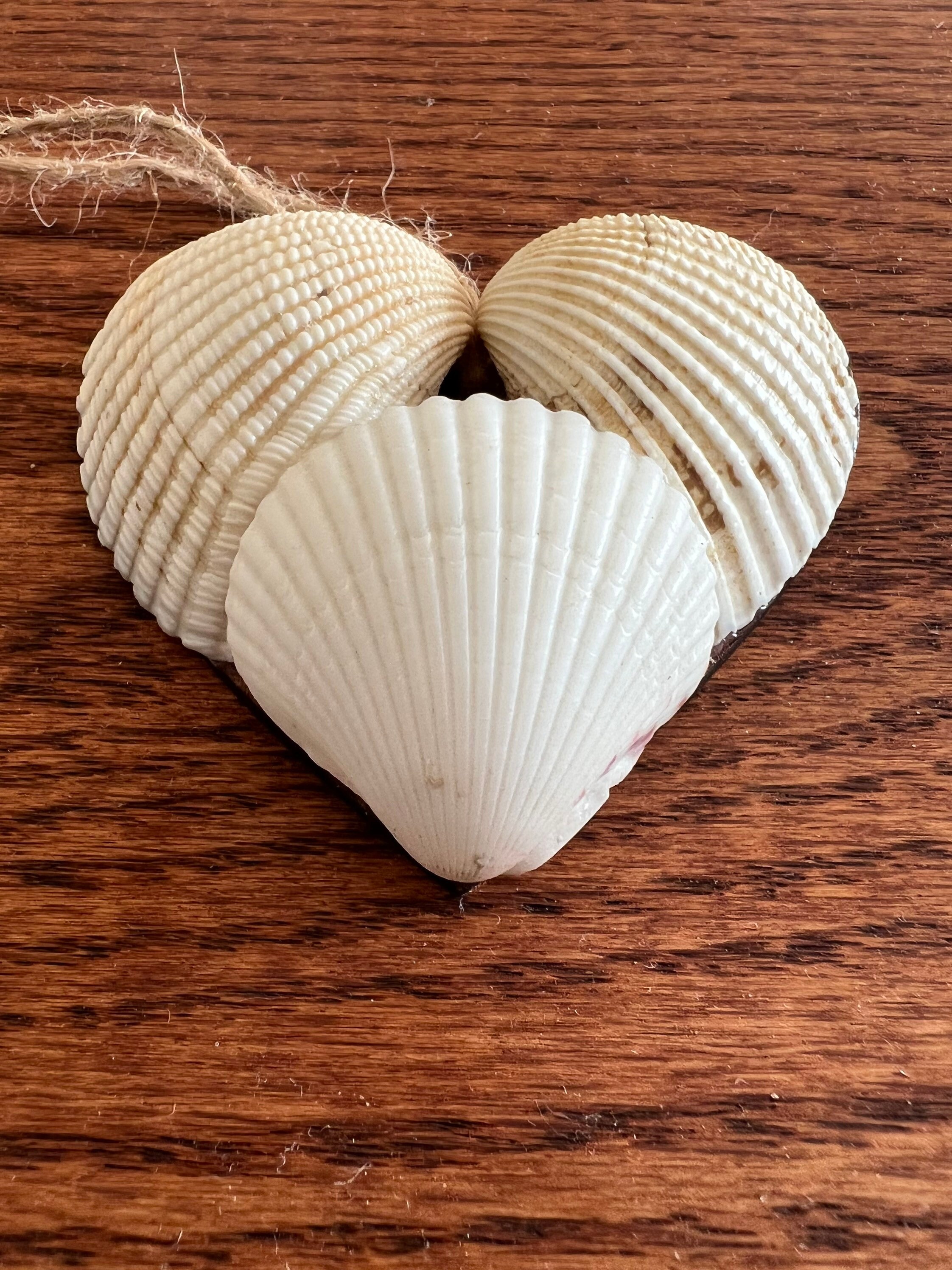 Perfectly Paired, I Shell Heart You Forever - Etsy