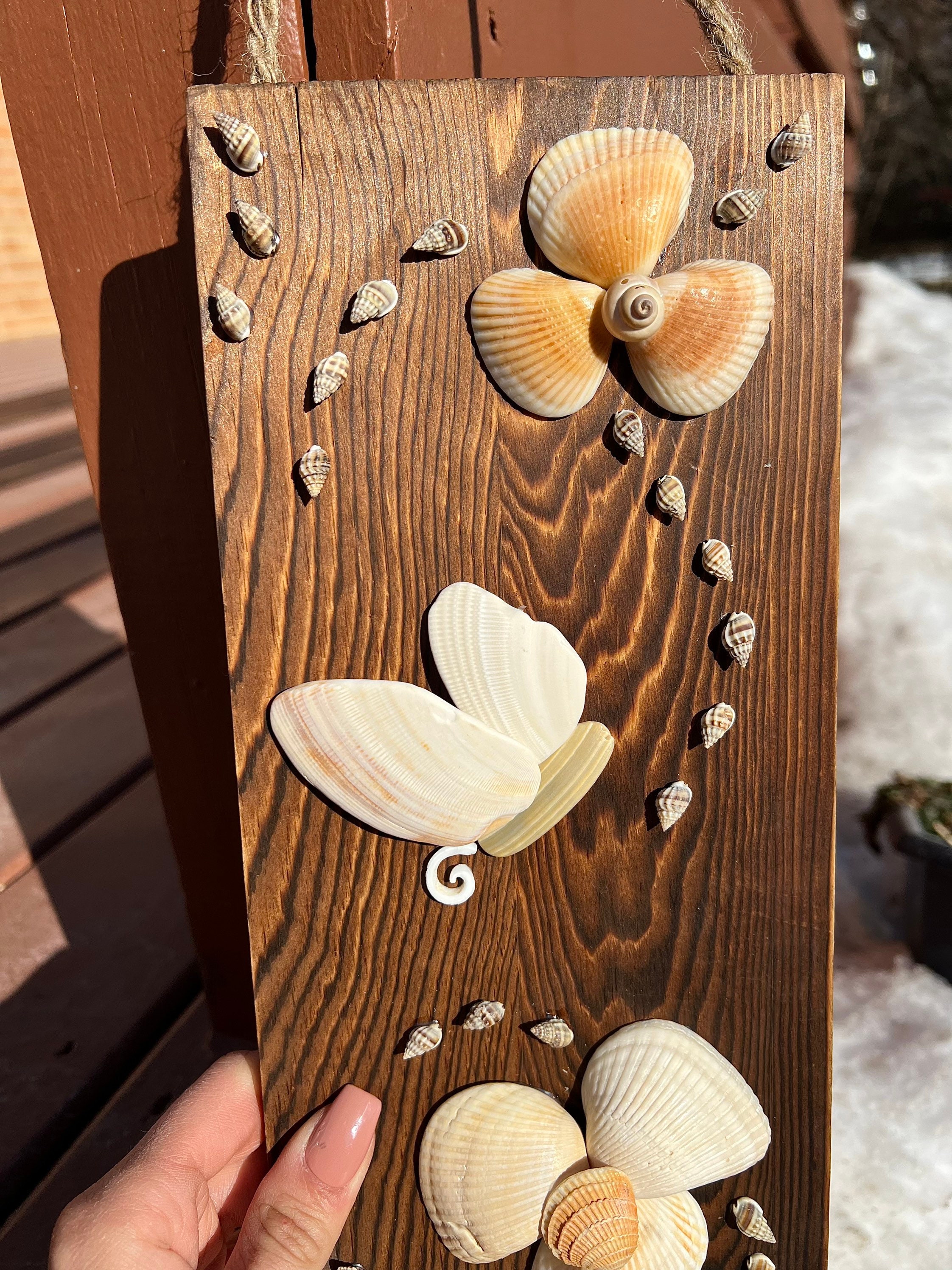 Shell Butterfly and Shell Flower Wall Hang - Etsy