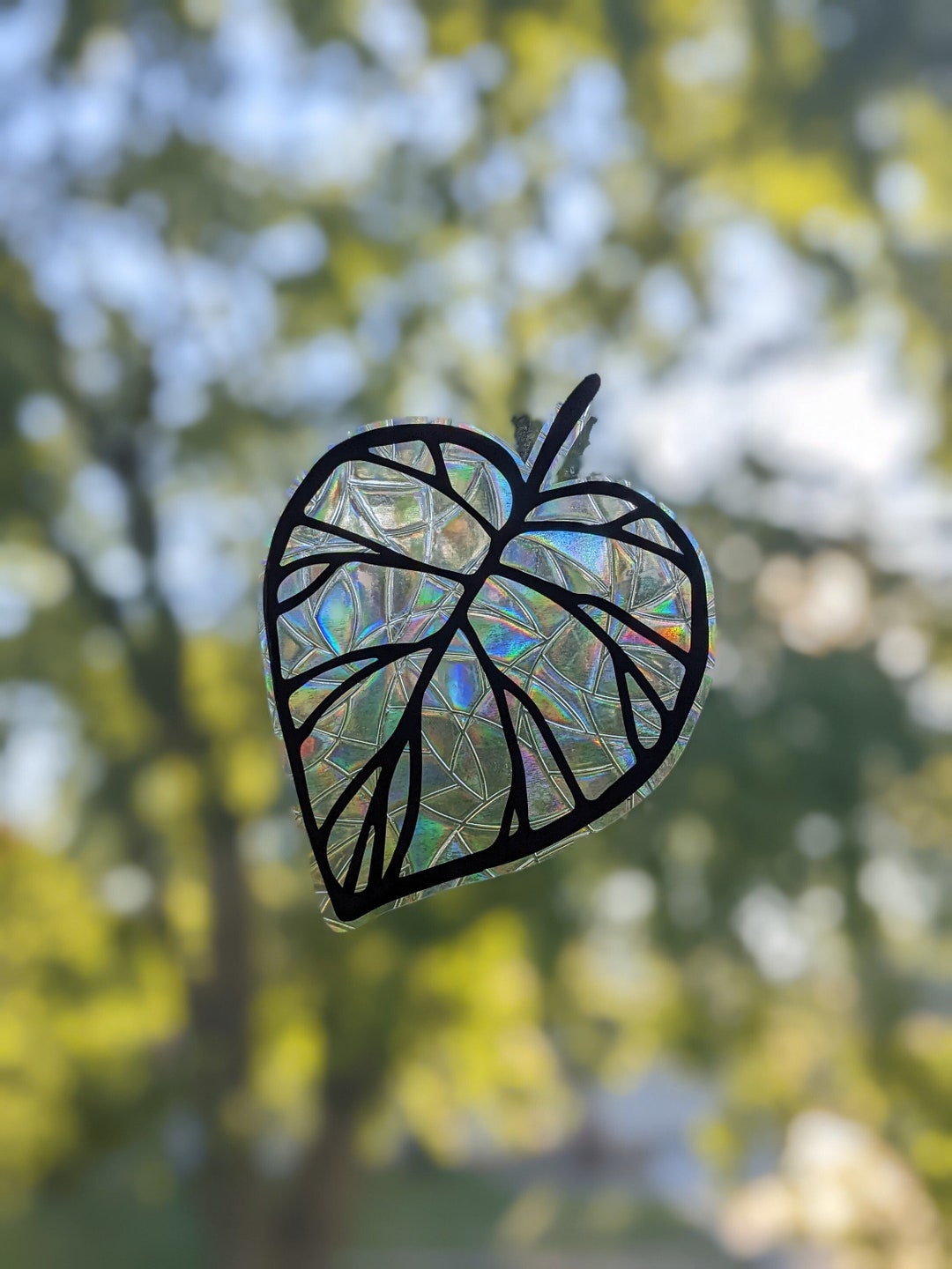 Fall Leaf SVG Leaf Cut File Cricut Leaf Cut File Single - Etsy