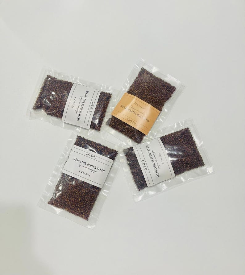 Alligator Pepper Seeds, Grain of Paradise - Etsy
