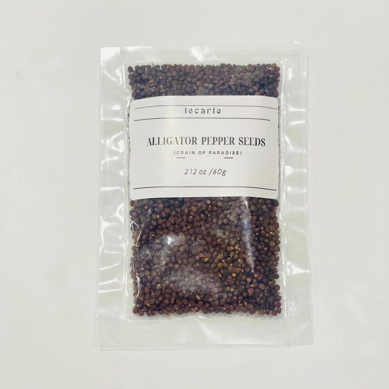 Alligator Pepper Seeds, Grain of Paradise - Etsy