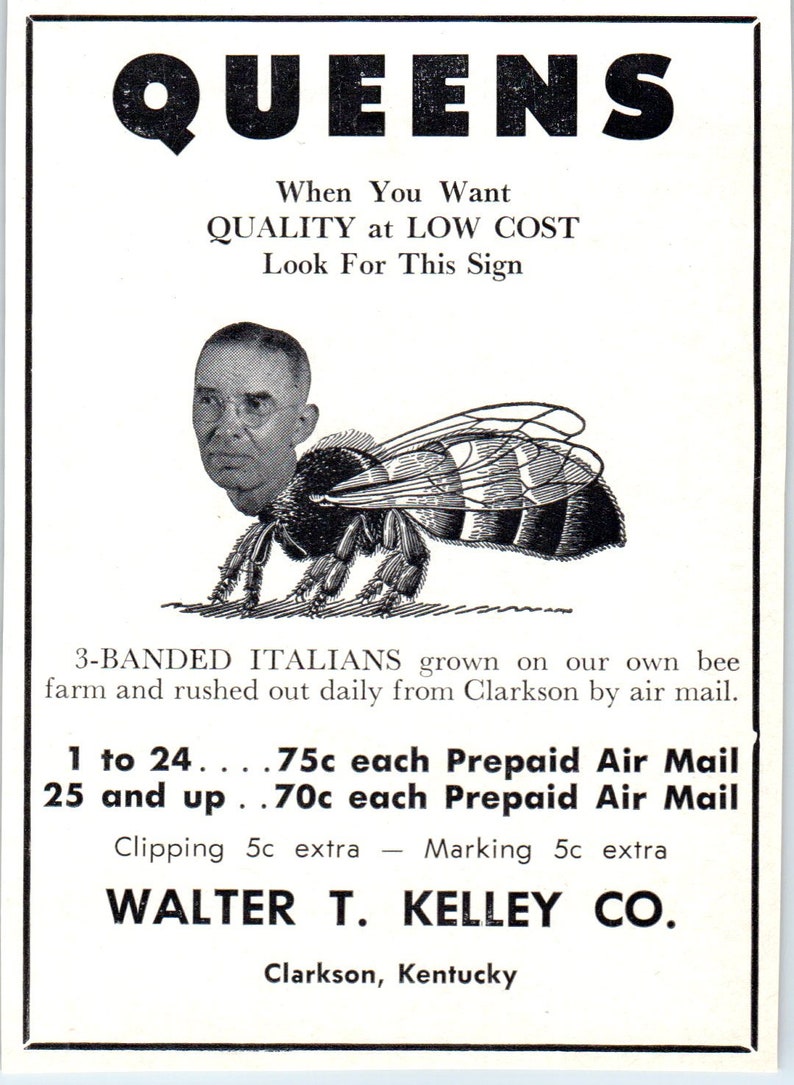 Walter T. Kelley Italian Queen Bees Clarkson KY 1964 Magazine Ad AB6-LB ...