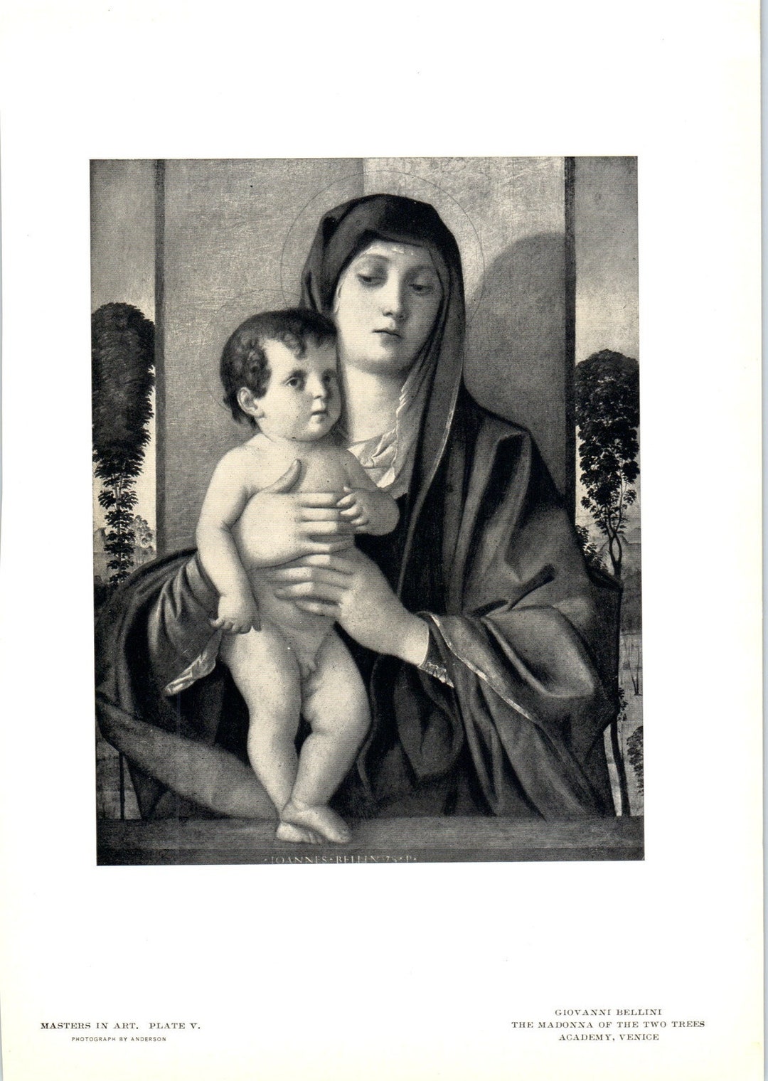 The Madonna of the Two Trees - Giovanni Bellini 1900 Victorian Art ...