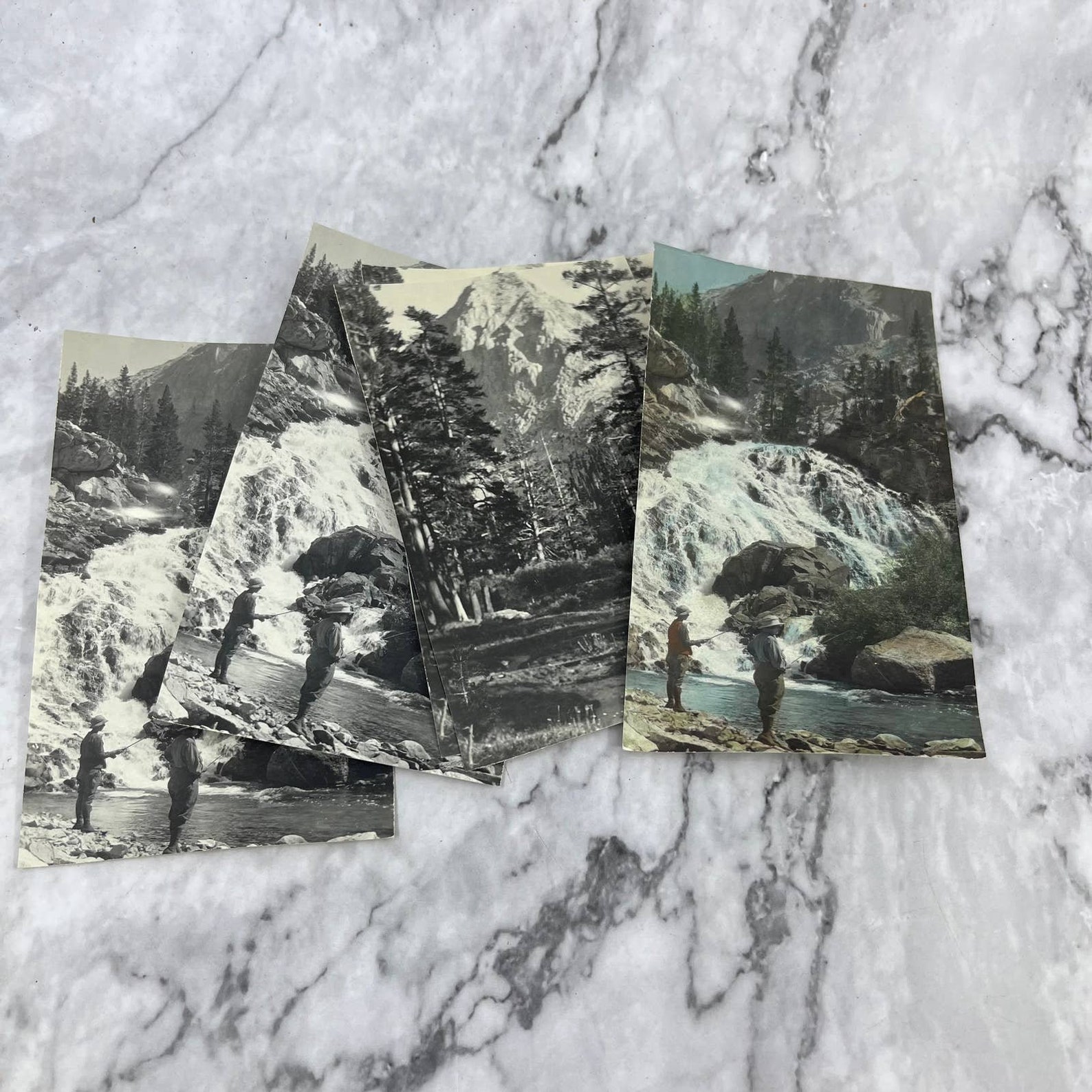 1920s Collection of Photos & Negatives of California Landscape Views ...