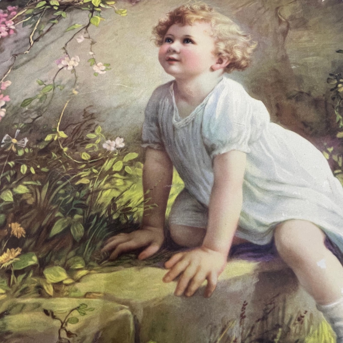 1920's Zula Kenyon Home of the Bluebird Art Print Lithograph 10x13 FL6 ...