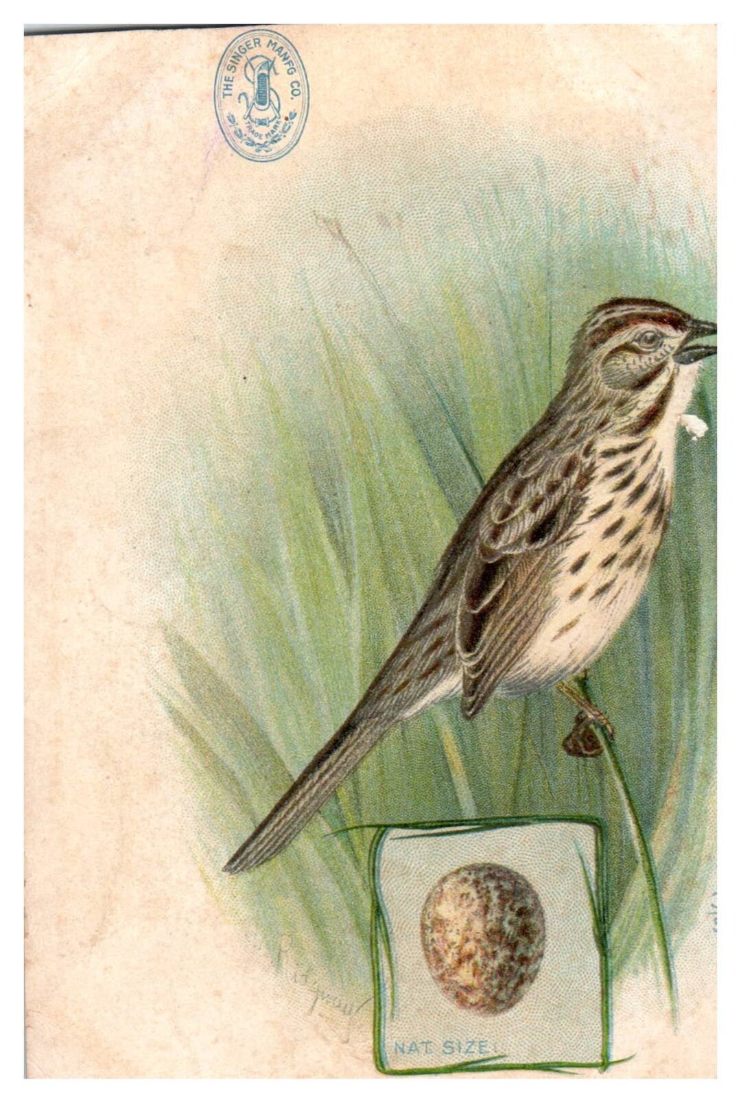 Song Sparrow Singer Sewing Machines Trimmed - 1880s Victorian Trade ...