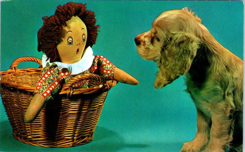 Raggedy Ann Doll With Cocker Spaniel Puppy Dog Original Postcard PB6 - Etsy