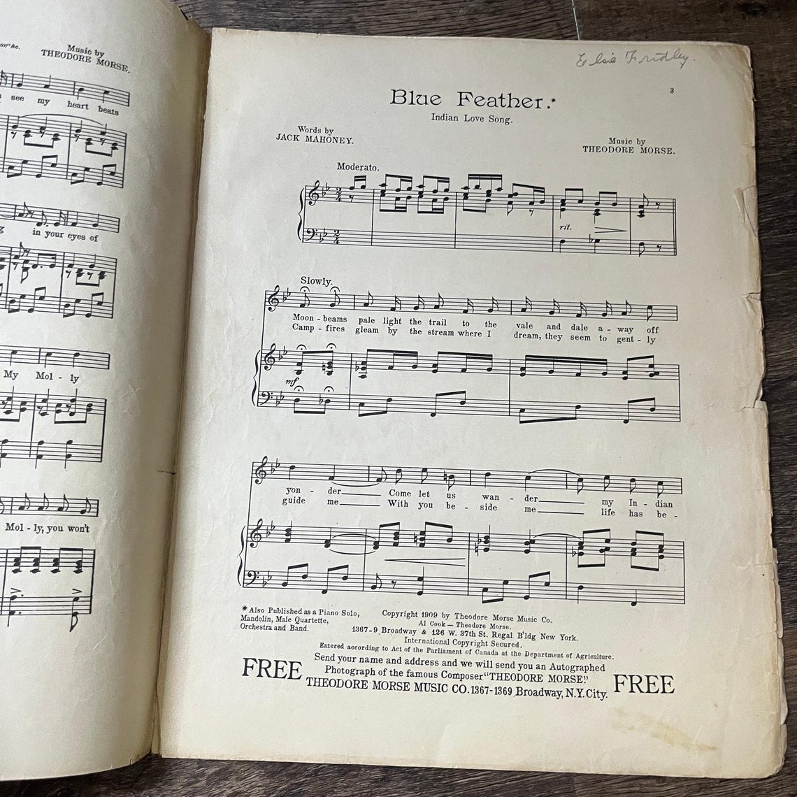 Blue Feather Song Theodore Morse 1909 Sheet Music V13 - Etsy