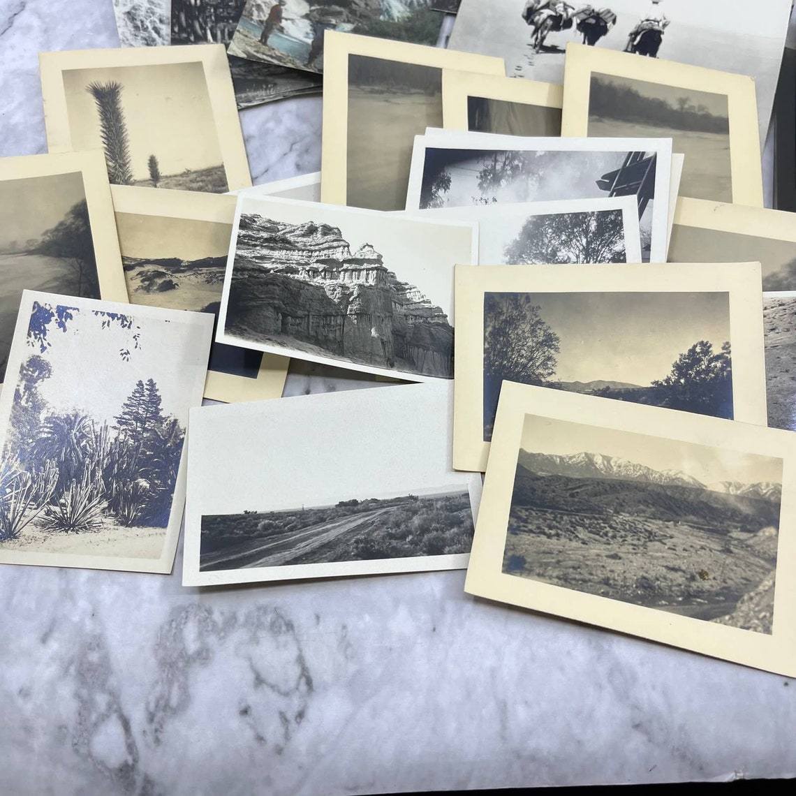 1920s Collection of Photos & Negatives of California Landscape Views ...